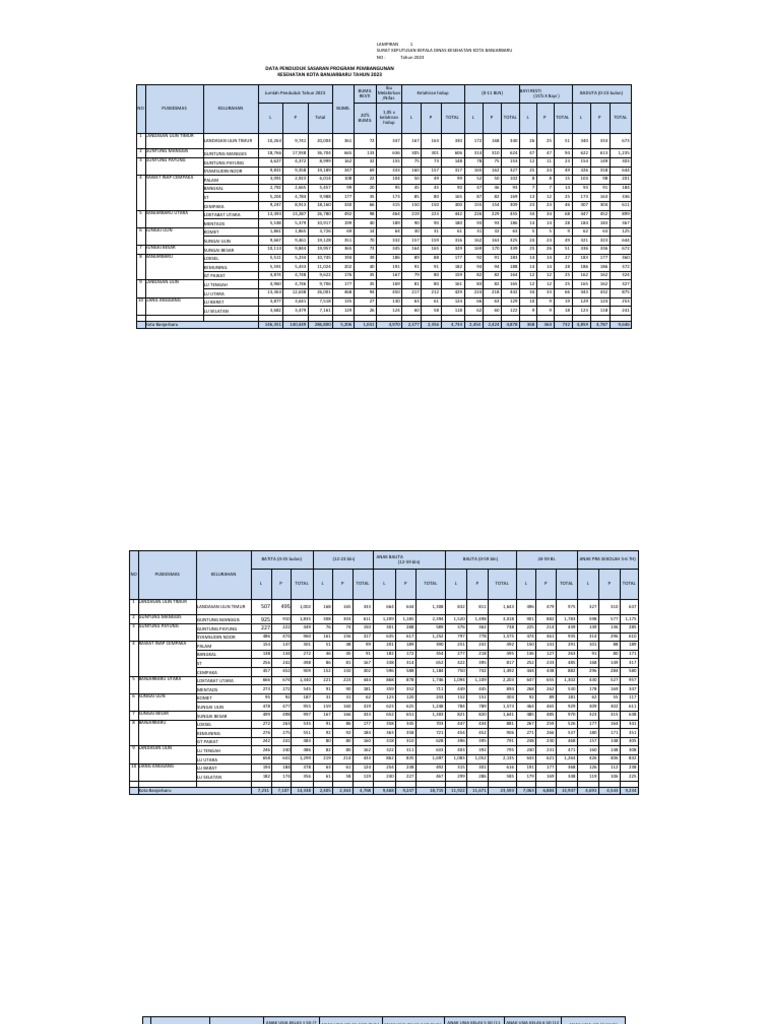 Data PDDK Sasaran Program 2023 - Fix | PDF