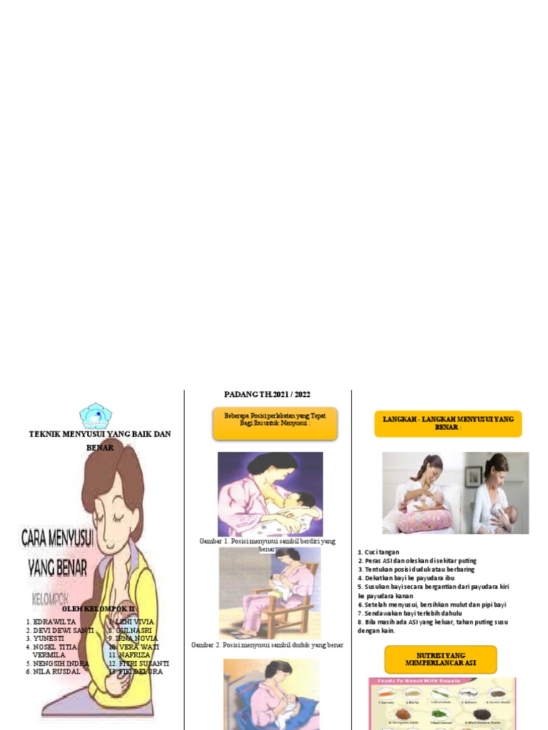 Leaflet Teknik Menyusui | PDF