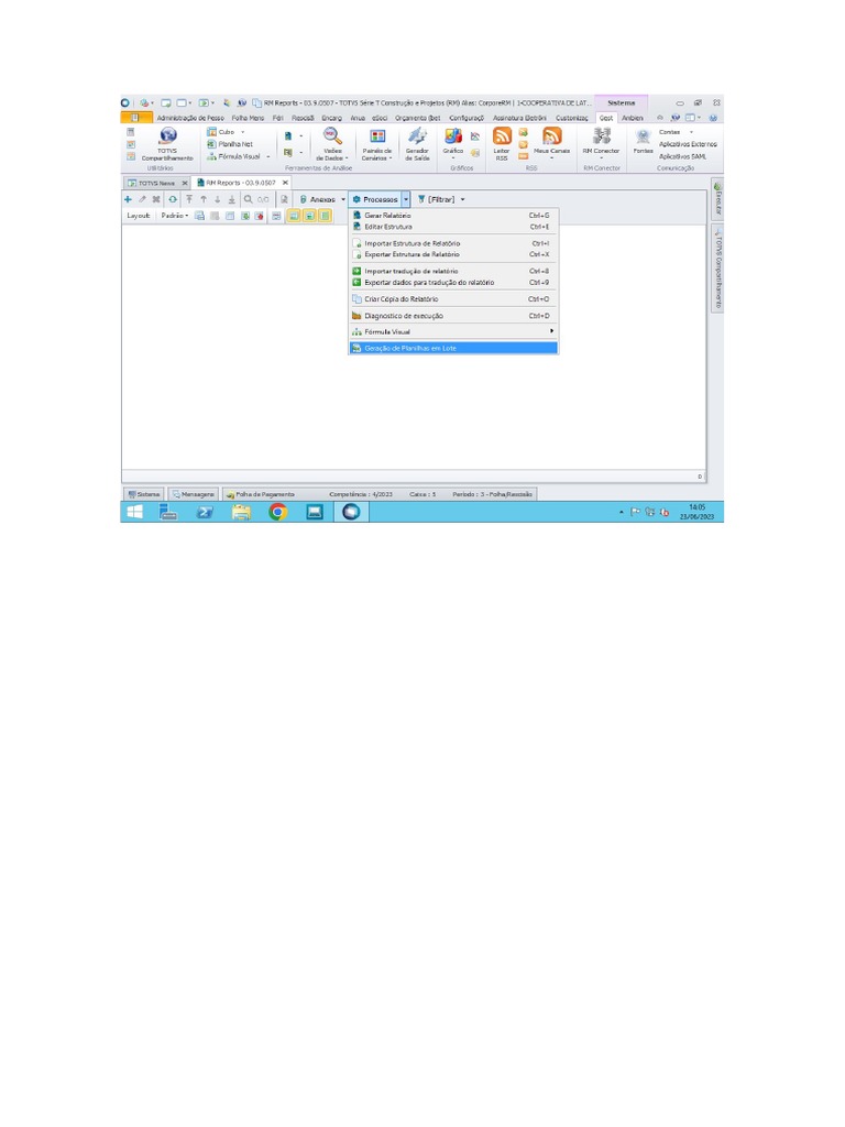 Converter Relatorio Delphi em RMReports | PDF