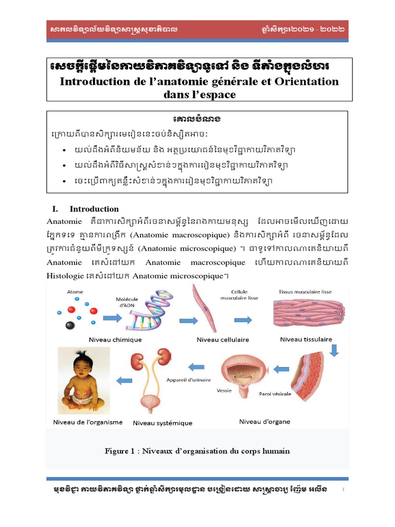 Introduction Anatomie Générale | PDF