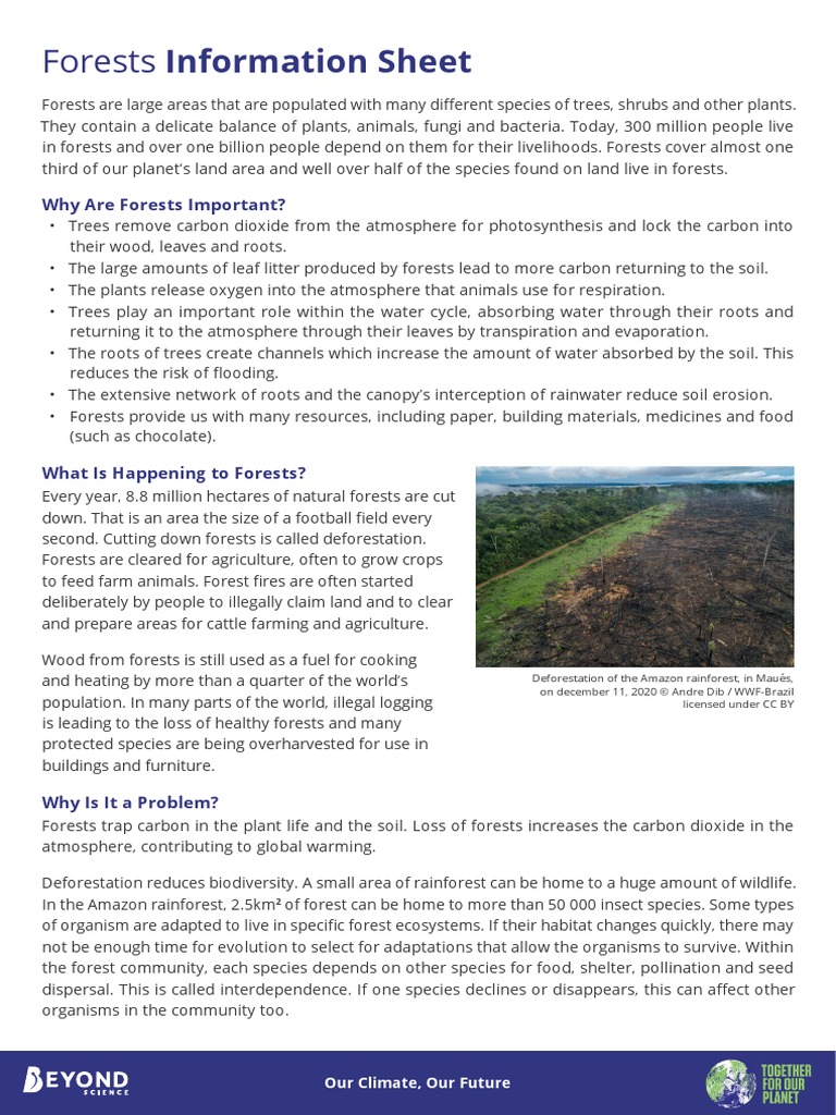 Forests Extension Information Sheet | PDF | Forests | Deforestation