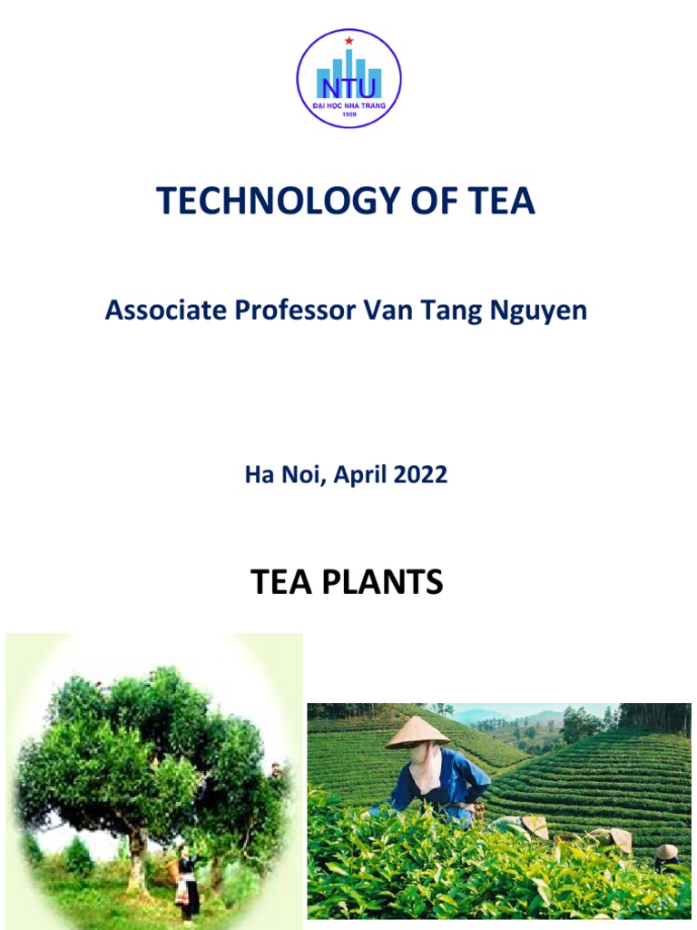 Lecture 1 - Technology of Tea | PDF | Tea | Green Tea