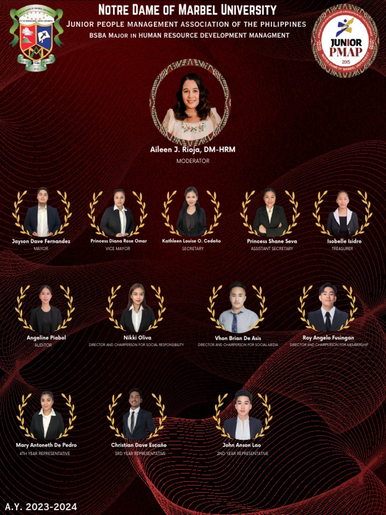 JPMAP Organizational Chart | PDF