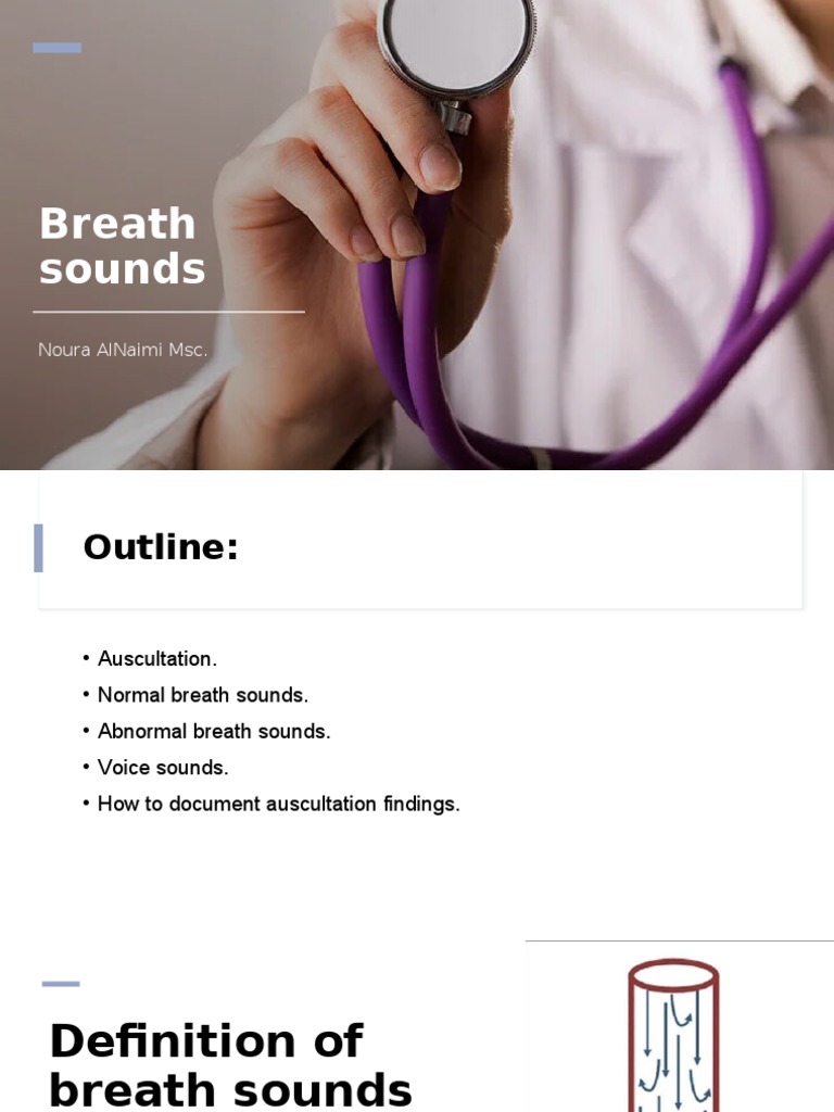 6 - Breath Sounds | PDF | Lung | Respiratory Tract