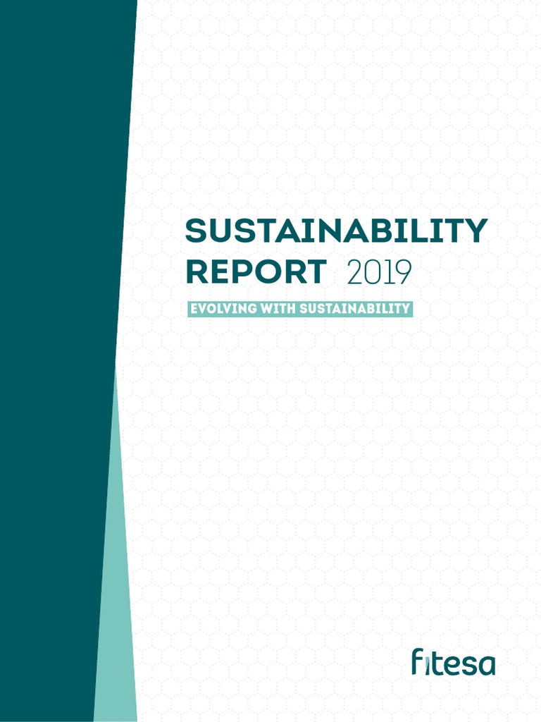 Fitesa RS2019 published-EN | PDF | Sustainability | Governance