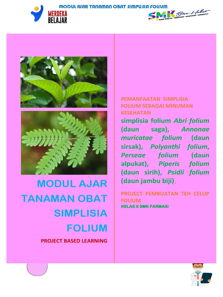 Modul Ajar Tanaman Obat Simplisia Folium | PDF