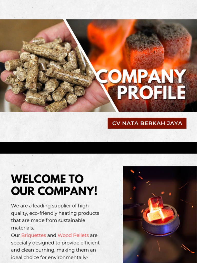 Company Profile CV Nata Berkah Jaya | PDF | Fuels | Nature