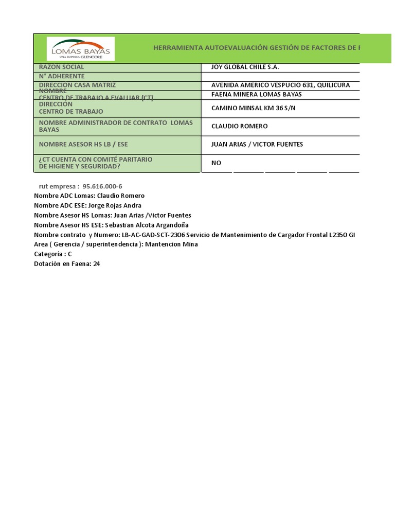 Auditoria Joy Global | PDF | Agua | Agua potable