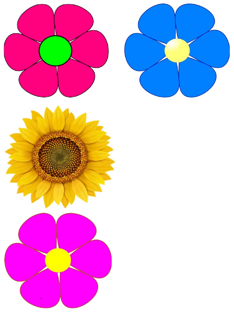 Flowers | PDF