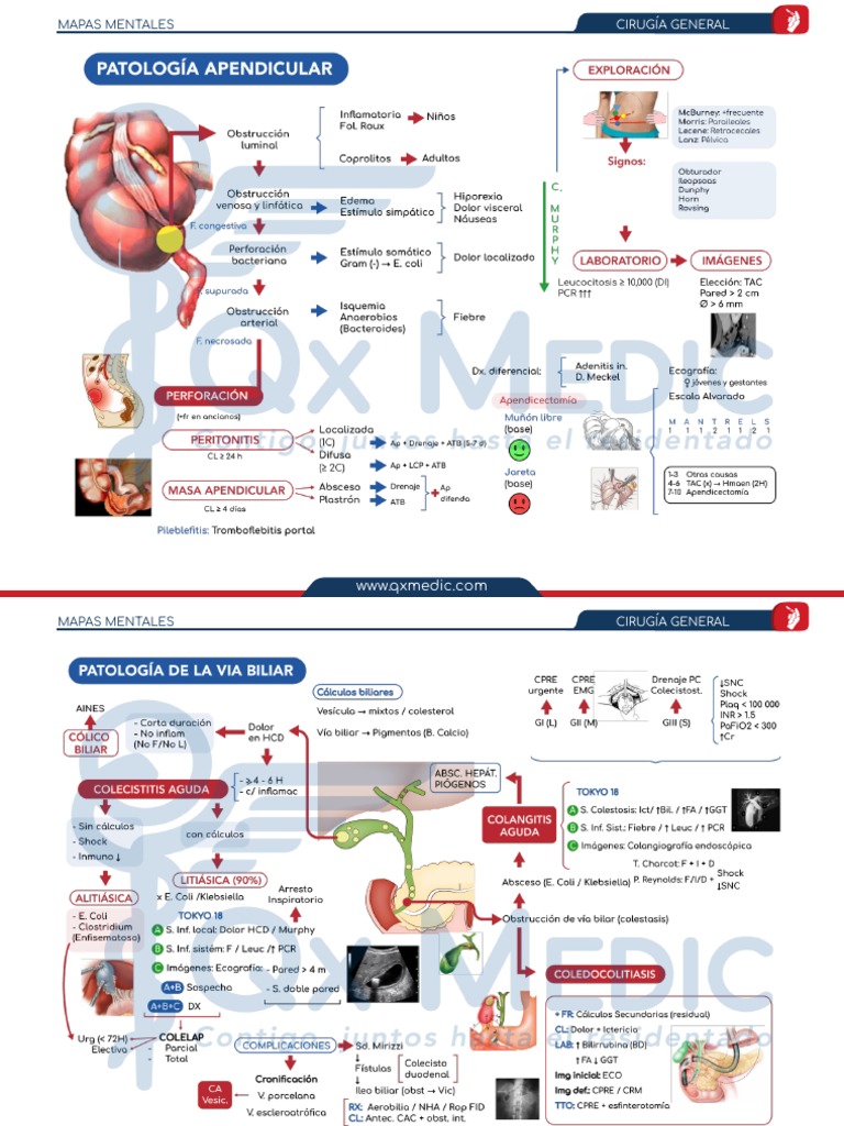 Cx General MapasMentales | PDF