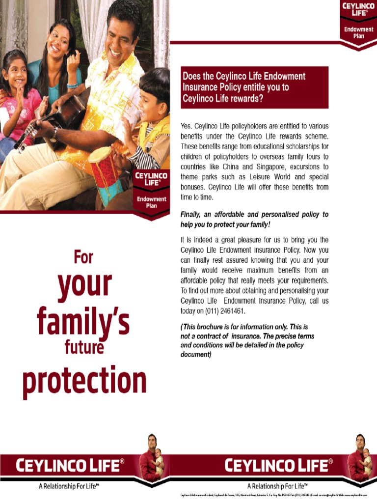 Endowment Brochure 1 | PDF