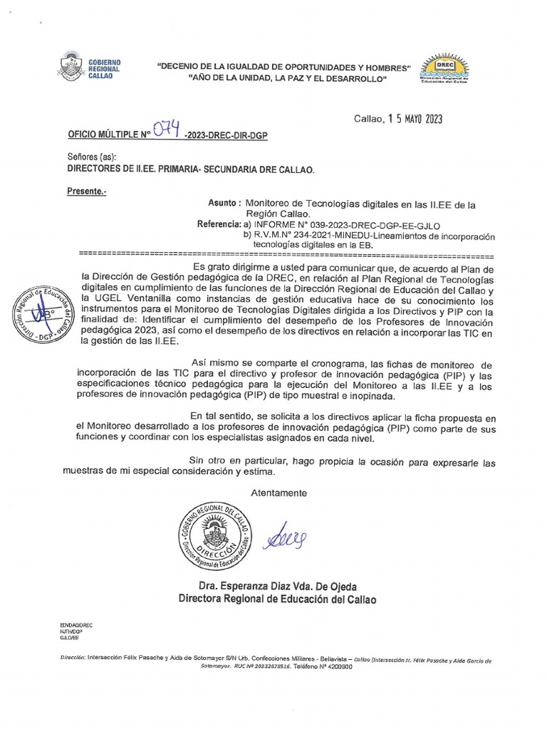 Oficio Multiple N 074 2023 Drec Dir DGP | PDF