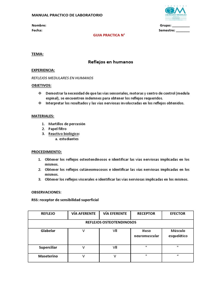 Guia Practica de Laboratorio Morfofisiologia 3-6-7 | PDF | Neurociencia | Sistema nervioso