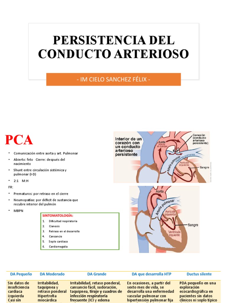 Persistencia Del Conducto Arterioso | PDF | Hipertensión | Sistema ...