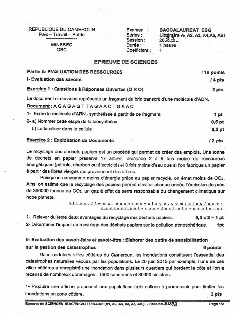 Bac a4 2023 Sciences | PDF