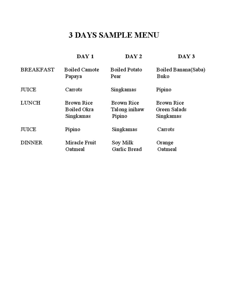 3 Days Sample Menu | PDF