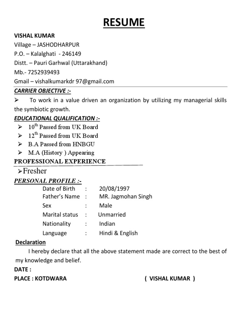 Vishal Kumar Resume | PDF