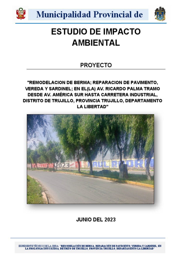 Informe de Impacto Ambiental - Av - RP Ok | PDF | Evaluación de impacto ...