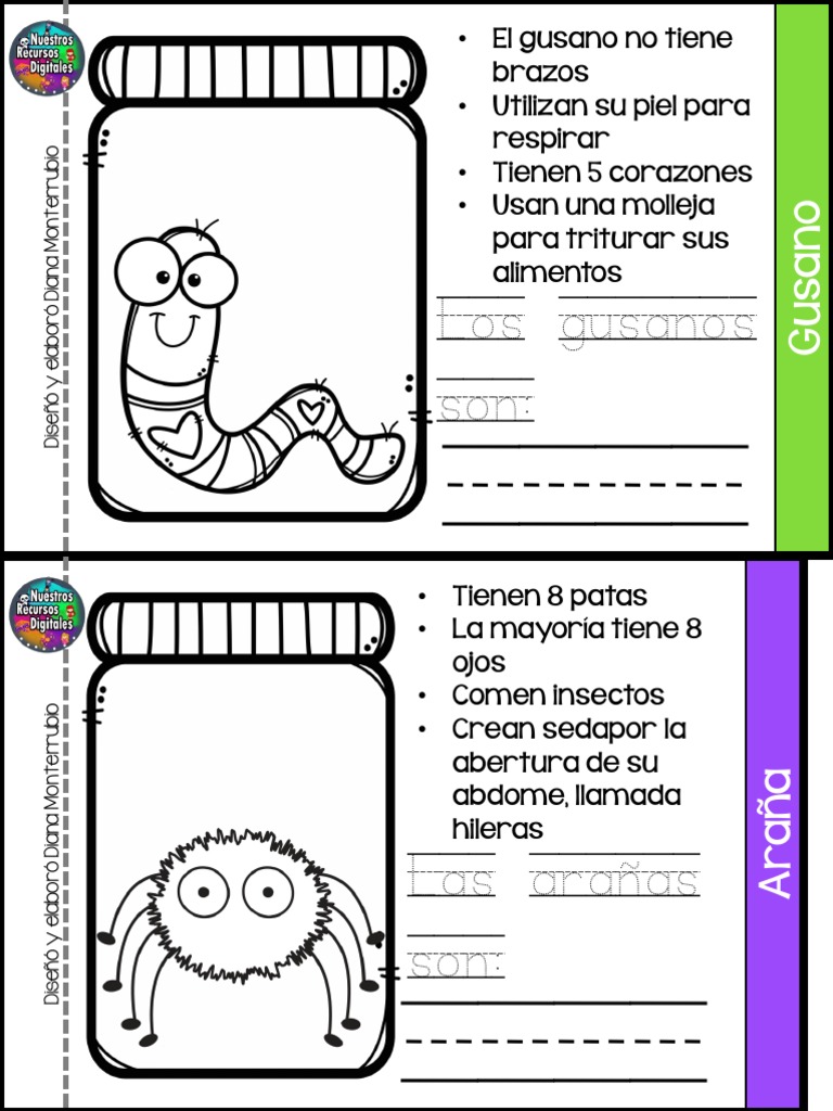 Insectos | PDF | Abejas | Insectos