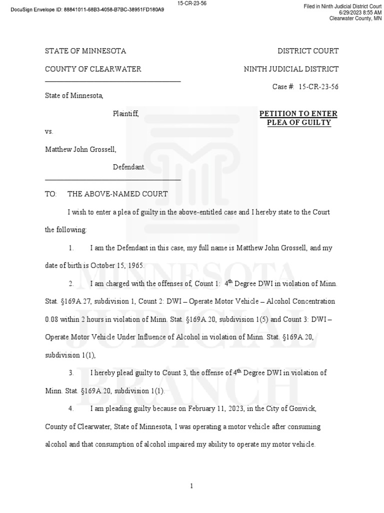 Petition To Enter Guilty Plea | PDF | Driving Under The Influence | Plea