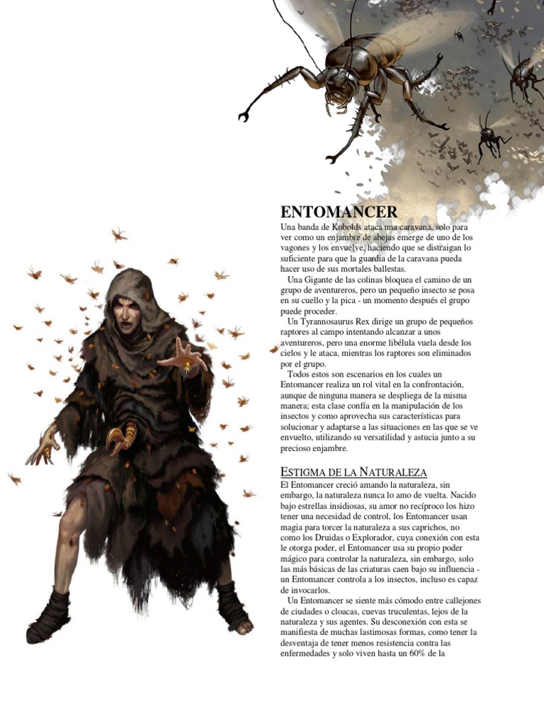 Entomancer D&D (Homebrew Traducido by Zetmas) | PDF | Avispa | Insectos