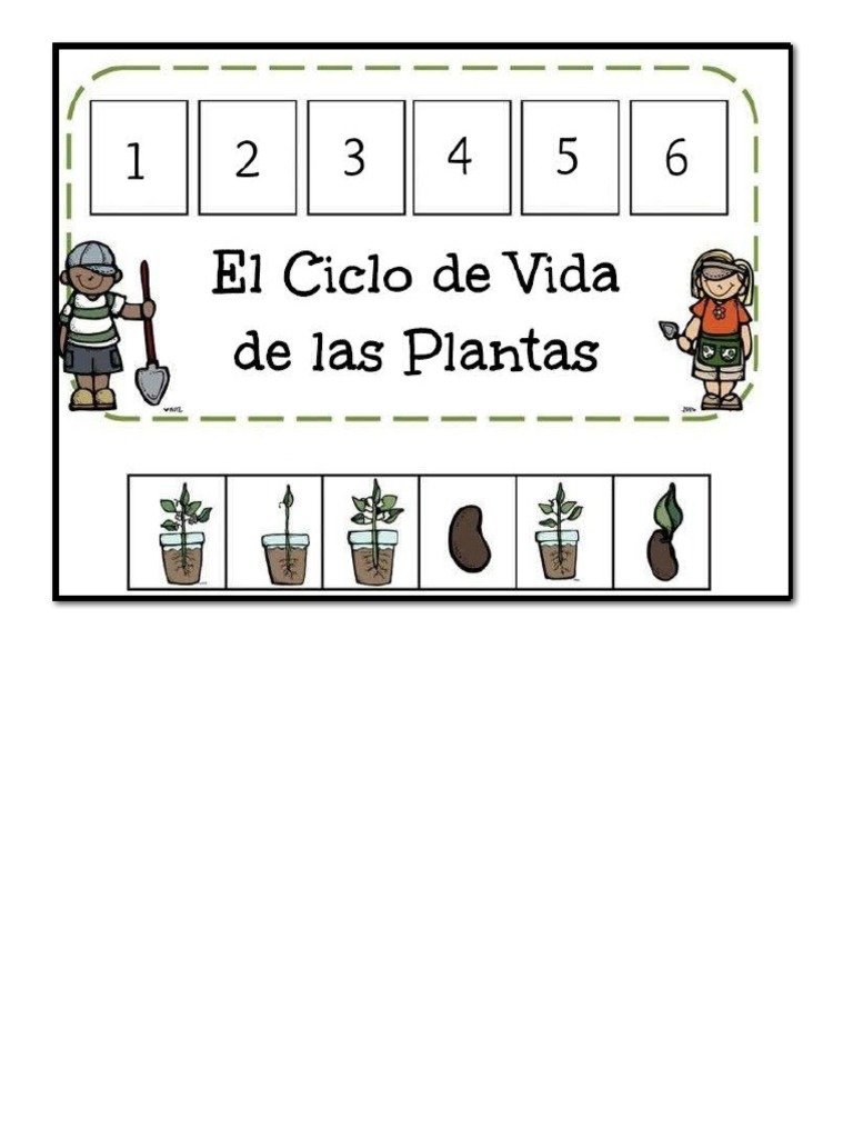 Ciclo de Vida de Las Plantas | PDF
