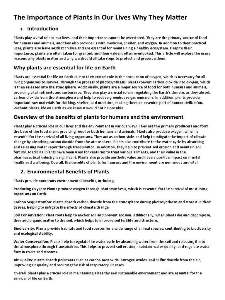 The Importance of Plants in Our Lives Why They Matter | PDF | Soil | Water