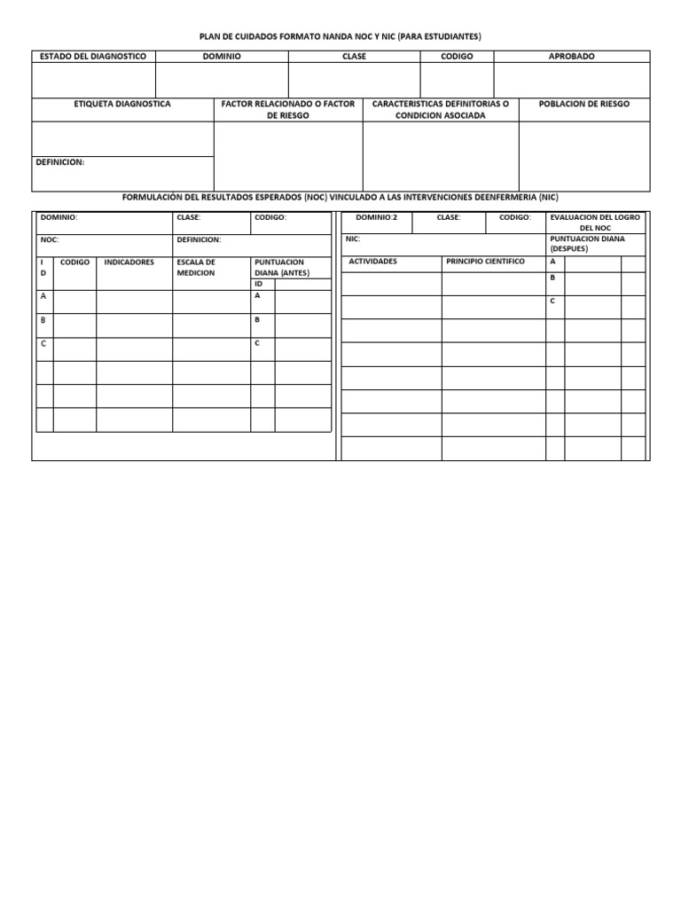PLAN DE CUIDADOS FORMATO NANDA NOC Y NICBLANCO | PDF