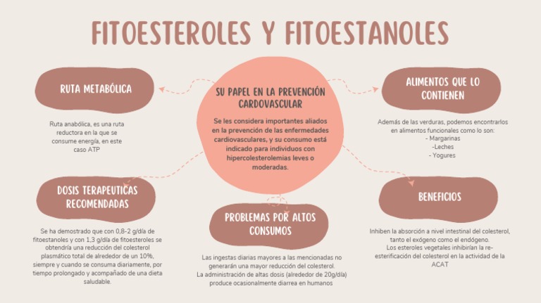 Fitoesteroles y Fitoetanoles | PDF | Colesterol | Nutrición