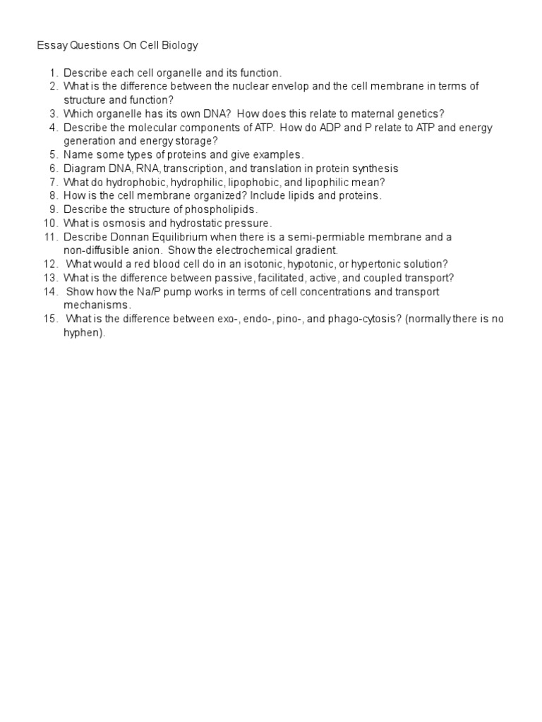 Essay Questions On Cell Biology | PDF