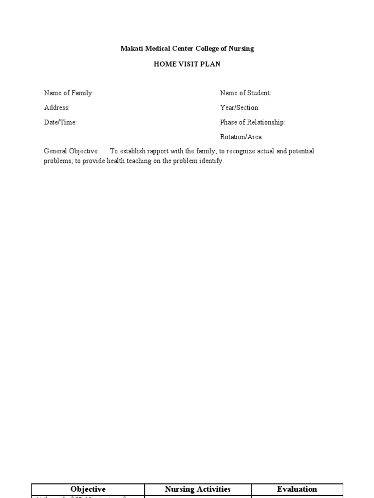 Home Visit Plan Day1 | PDF