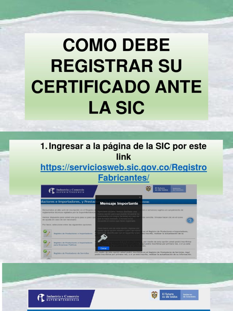 Instructivo Cargue A La Sic | PDF