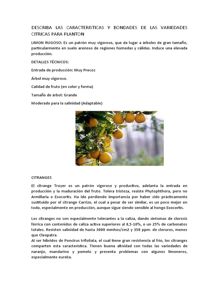 LIMON RUGOSO | PDF | Limón | Agrios