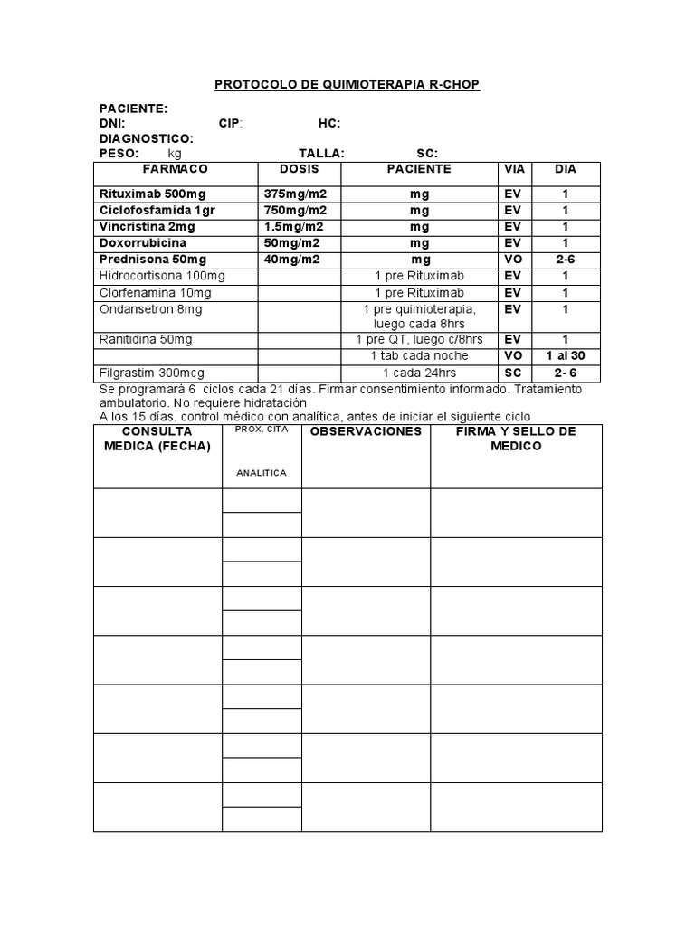 R Chop Formato | PDF | Relaciones personales, crianza y desarrollo ...
