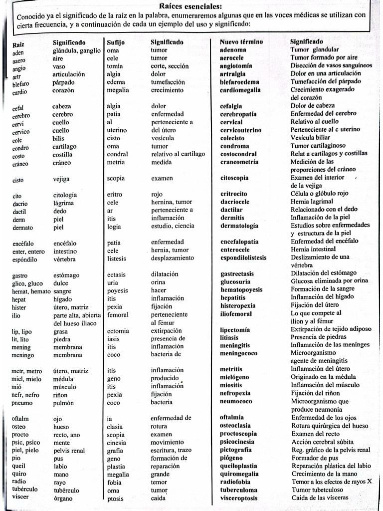 Raíces, Prefijos y Sufijos | PDF
