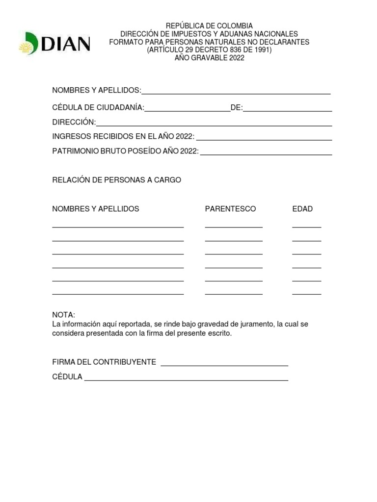 Formato DIAN 2022 | PDF