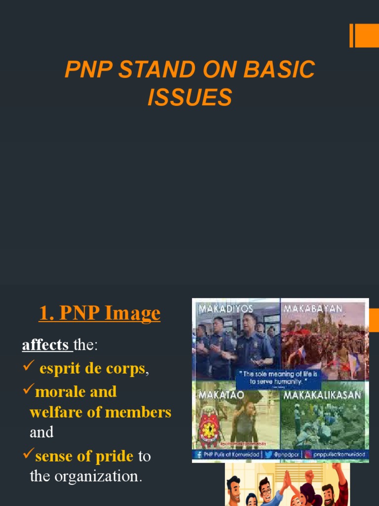 PNP Stand On Basic Issues | PDF | Police | Integrity
