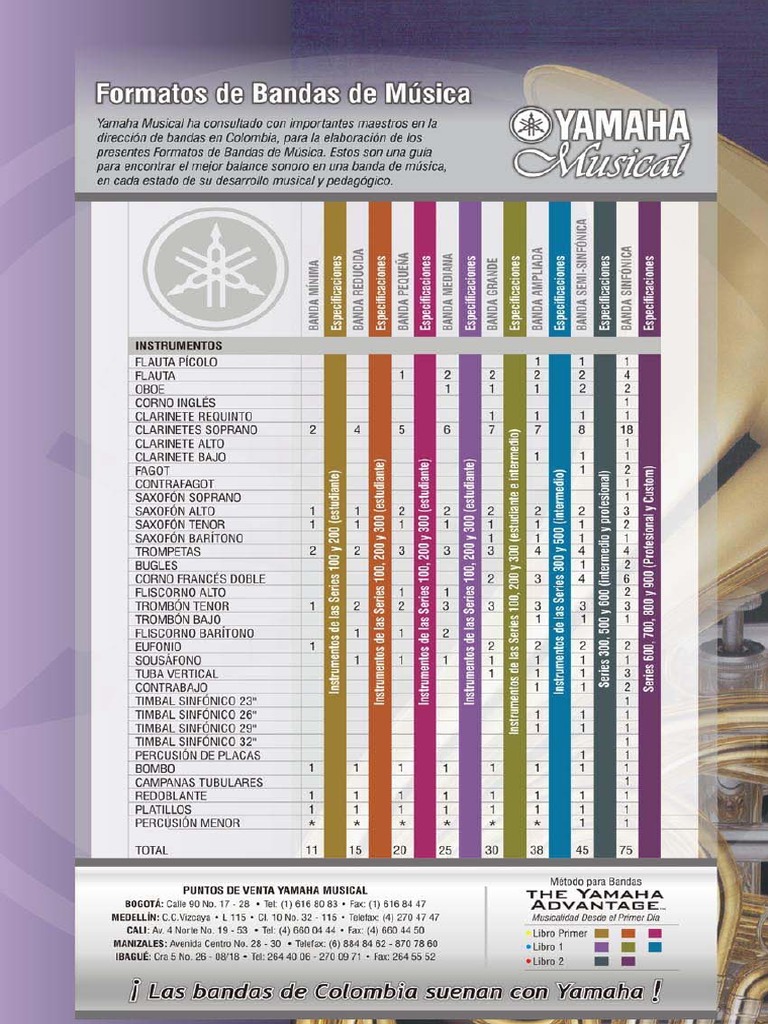 Formato Bandas de Musica | PDF