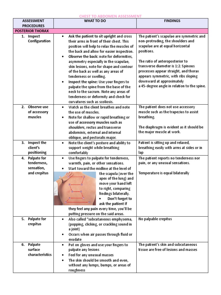 Chest To Abdomen Assessment | PDF | Heart | Thorax