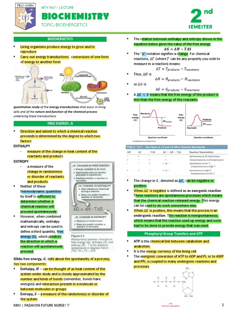 BIOENERGETICS | PDF | Adenosine Triphosphate | Redox BIOENERGETICS | PDF | Adenosine Triphosphate | Redox