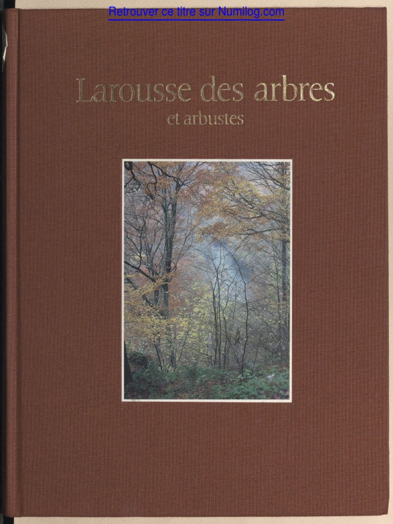 Larousse Des Arbres | Descargar gratis PDF | Arbrisseau | Forêt