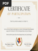 Solicitation Basketball | PDF