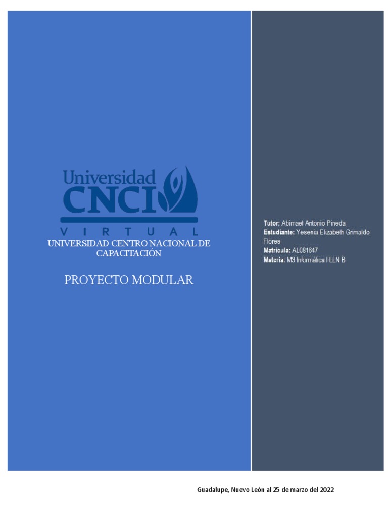 Proyecto Modular Informatica I | PDF