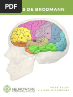 Areas Brodmann Tabela | PDF