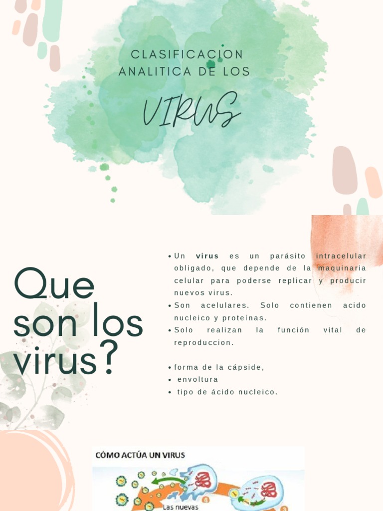 Clasificacion de Los Virus | PDF | Virus | Microbiología