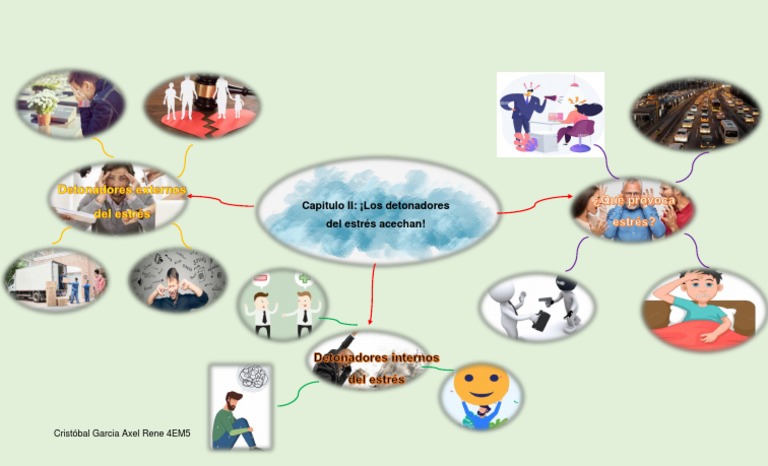 Mapa Mental Cap II | PDF