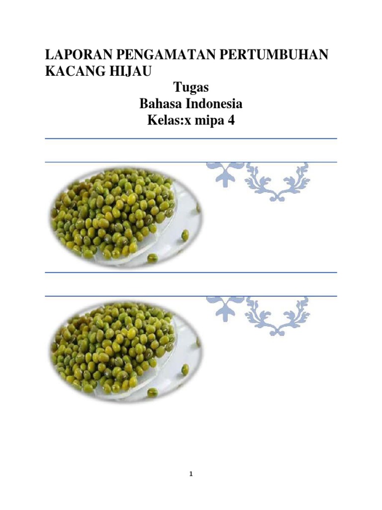Pengamatan Pertumbuhan Kacang Hijau | PDF