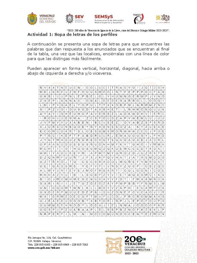 Actividad 1 Sopa - Letras | PDF | Maestros