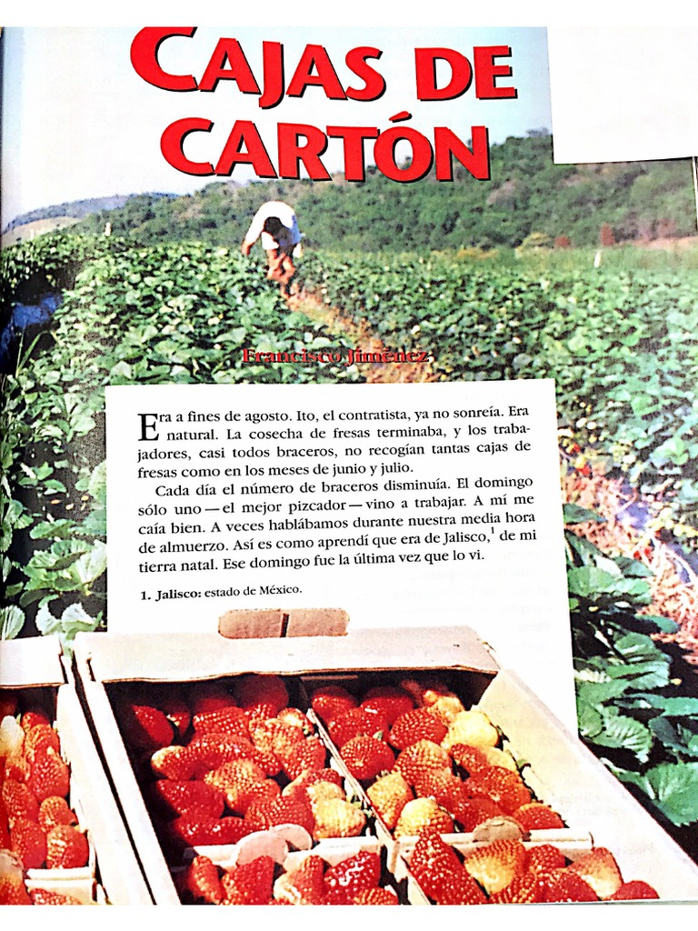 Cajas De Carton Pdf
