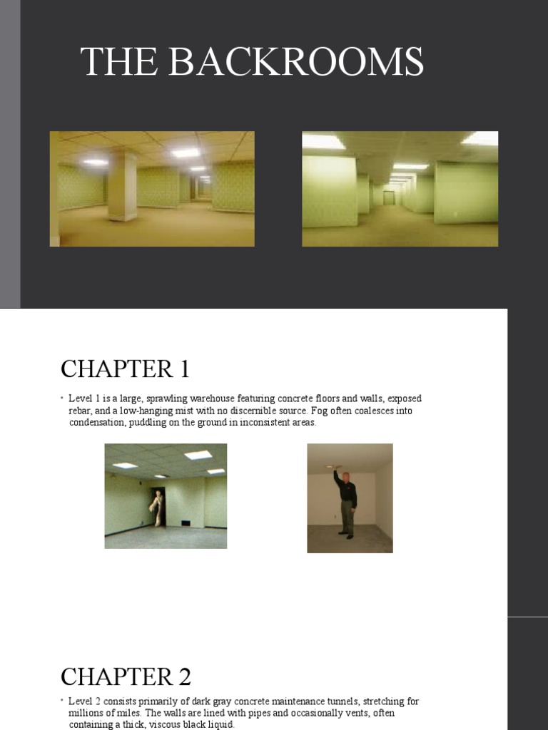 The Backrooms: Levels 1-4 Guide | PDF | Art